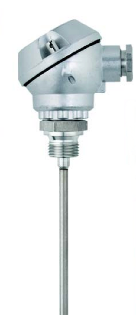 JUMO 902230 - Mineral-Insulated RTD Temperature Probe PT100 ...